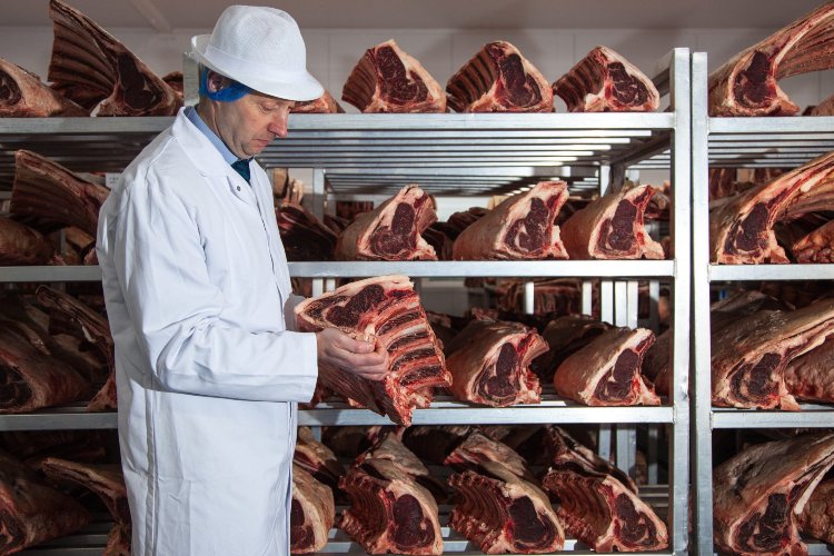 Donald Russell – Order Online | REKKI