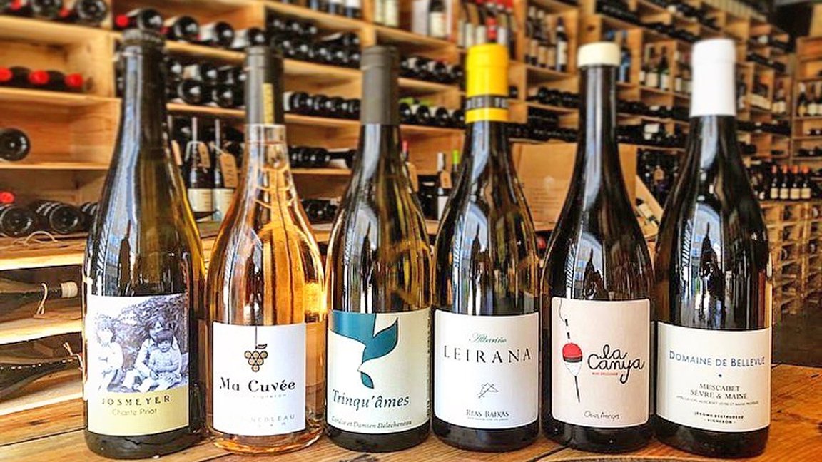 Dynamic Vines – Order Online | REKKI